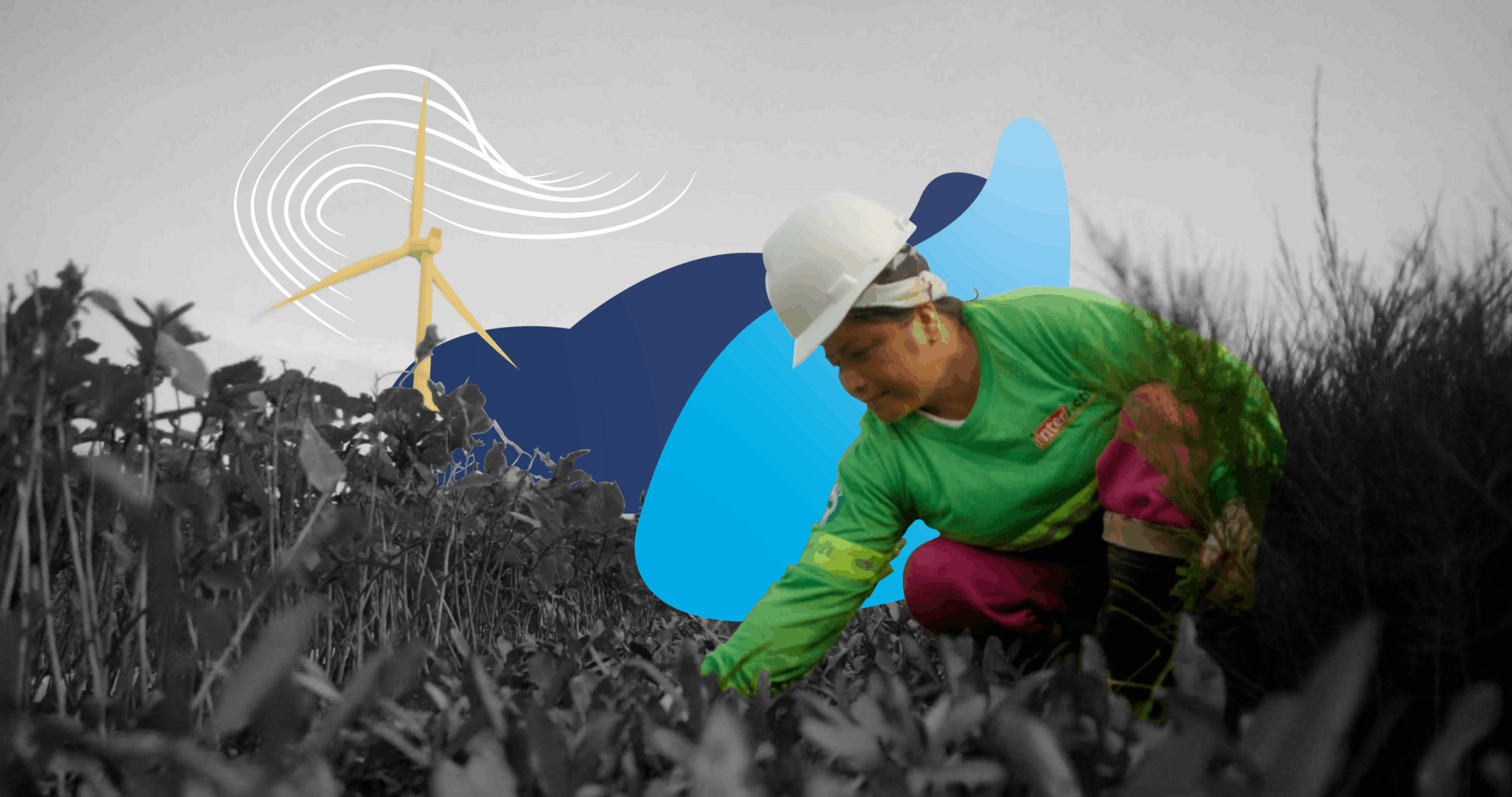 Revolutionizing Agriculture: From ACEN’s Wind Farm to Ayala Malls - A ...
